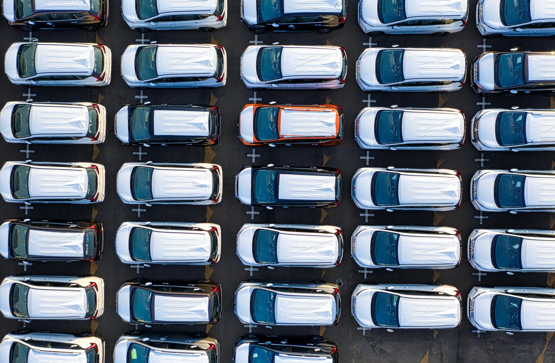 How to Buy Cars at Auction: Complete Guide & Tips for 2025